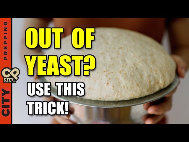 How To Make Yeast From Scratch (DIY) With A Potato