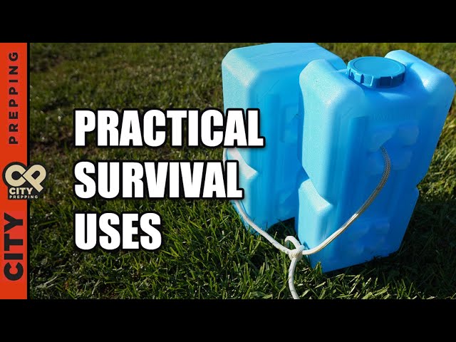 5 WaterBrick Uses You Haven’t Considered