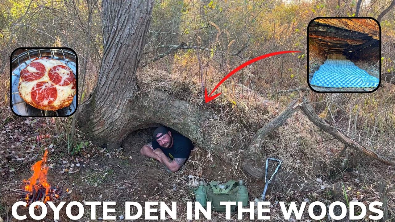 Solo Overnight Sleeping Inside A Coyote Den In The Woods And Pizza On A ...