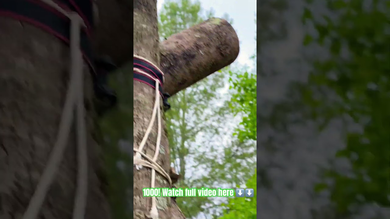 How Many Pounds Does This Homemade Net Hold?
