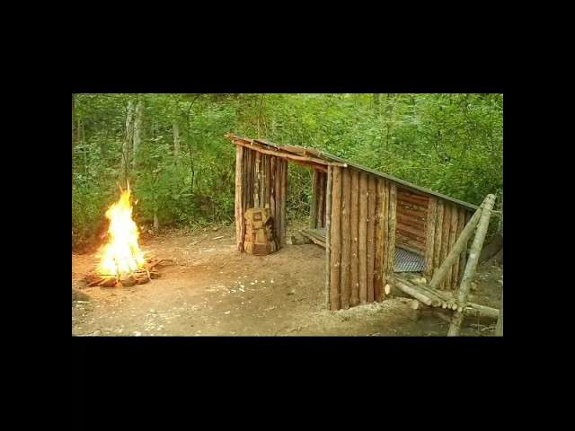 Man Builds A Trappers Cabin From Scratch In The Woods